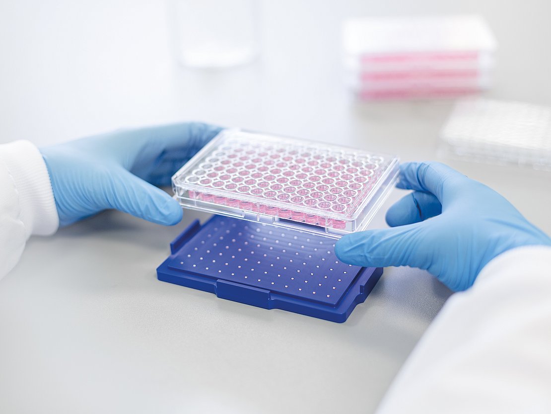 Magnetic 3D Cell Culture: Tools to Bridge the Gap Between 2D and 3D Magnetic 3D Cell Culture: Tools to Bridge the Gap Between 2D and 3D